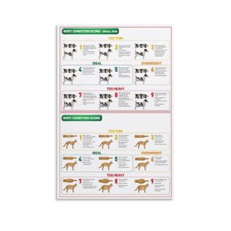 Generic poster Dog Cat Body Condition Chart Poster - Pet Health & Weight Monitoring Guide | Essential Wall Art for Veterinary Clinic and Pet-Friendly Homes(Fr