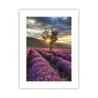 Arttor Poster ohne Rahmen Lavendel Berge Feld Deko 30x40cm Wandposter Art Prints Wandbilder Dekoration Wohnzimmer Schlafzimmer K&uuml;che Wanddeko Bild Wand Kunst