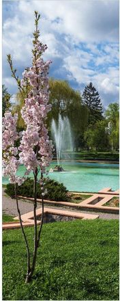 Wallario Glasbild Fr&uuml;hling im Stadtpark - 50 x 125 cm Wandbilder Glas in Premium-Qualit&auml;t: Brillante Farben, freischwebende Optik