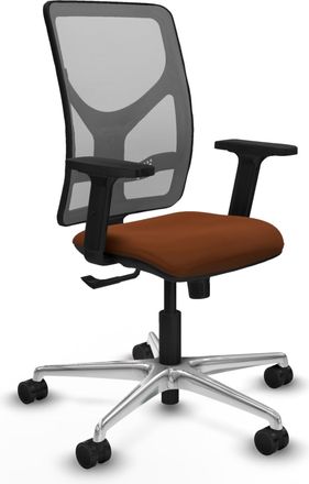 Piqueras y Crespo B&uuml;rostuhl f&uuml;r Lendenwirbels&auml;ule, verstellbar, mit 2D-Armlehnen, ausgestattet mit 3 Positionen und Schneideschaum, mit 65 mm Nylon-Rollen, Grau/Braun