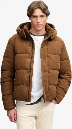 Superdry Steppjacke PREMIUM HOOD CORD PUFFER JKT Kunstfaser, relaxed fit