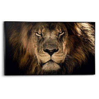 Reinders Gerahmtes Bild, L&ouml;we Kopf, Teenager Zimmer, Bilder, Wanddeko, Room Decor, MDF, Braun, 70 x 118