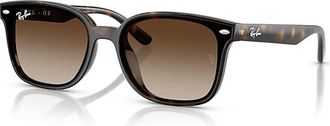 Ray-Ban Rb4461d Sonnenbrillen Havana Fassung Braun Glas 64-17