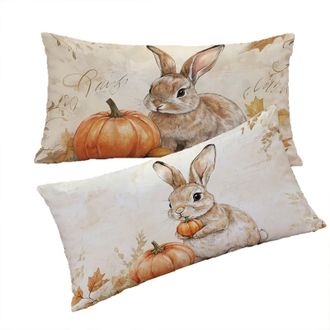 Generic Kissenbez&uuml;ge Grau Kissenbezug 40x60cm Tier Kissenbez&uuml;ge Pillow Cover Dekokissen Samt Weich und Bequem 2er Set Beidseitig Bedruckt Maschinenwaschbar Ho