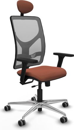 Piqueras y Crespo Motorradstuhl mit 3D-Armlehnen, h&ouml;henverstellbarer Lendenwirbelst&uuml;tze und festem Kopfteil, ausgestattet mit Syncro/Traslack und Schneideschaum, Grau/B