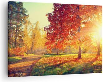Arttor Bilder auf Leinwand Park Herbst Baum Leinwandbild mit Rahmen 70x50cm Wandbilder Dekoration Wohnzimmer Schlafzimmer Küche Deko Klein Wanddeko Bild Wand