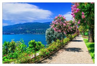 Wallario selbstklebendes Poster - Bl&uuml;tenpromenade am Seeufer, Aufkleber in Premiumqualit&auml;t, Klebefolie Gr&ouml;&szlig;e: 61 x 91,5 cm (Maxiposter)