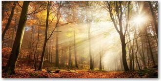 Tulup Leinwandbild - Wandkunst - Drucke auf Leinwand - Leinwanddruck -100x50 cm - Landschaften - Orange - Nebel im Wald