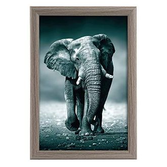 Goldbuch 92 0745 Bilderrahmen Toscana aus Holz, Fotorahmen für Bild im 20x30 cm Format, Portraitrahmen mit Aufsteller & Wandhalterung, Einzelrahmen aus MDF, Fo