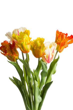 Botanic-Haus k&uuml;nstliches Tulpenb&uuml;ndel/k&uuml;nstlicher Tulpenbund Sandy Parrot mit 6 Tulpen Farbe: Orange-gelb real Touch