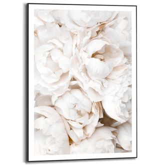 Reinders Gerahmtes Bild, Wei&szlig;e Rosen, Schlafzimmer, Poster, Wanddeko, Room Decor, MDF, Wei&szlig;, 70 x 50
