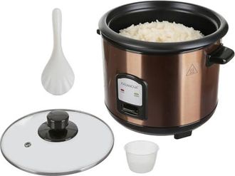 KASANOVA 1 Elektrischer Reiskocher, 500 W, 1,5 l, Gold, Eisen Aluminium Polypropylen Elektronische Komponenten