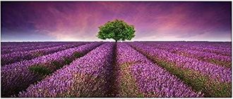 Homemania Bild Blumen Natur und Landschaften für Wohnzimmer, Schlafzimmer, mehrfarbig, 70 x 3 x 100 cm, HM20KNV70 x 100 - 127, Polyester, Holz