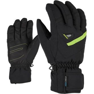 Ziener Herren Handschuhe GARY AS(R) glove ski alpine