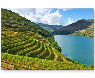 Paul Sinus Art Leinwandbilder | Bilder Leinwand 120x80cm Weinberge am Fluss Douro in Portugal