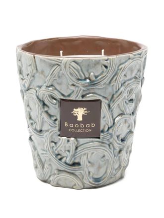 Baobab bougie Sylvanus (1100 g) - Bleu