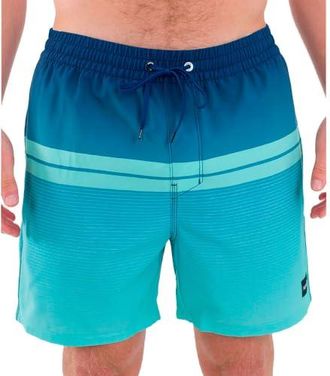 Hurley Cannonball Volley 17 Board Shorts, Abyss 2, M Mens