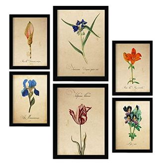 Nacnic Fleurs Bleues Affiches. Illustrations Nature et Botanique en Couleur avec des Th&egrave;mes Floraux dans un Style de Papier Vintage. Design dint&eacute;rieur et d&eacute;c