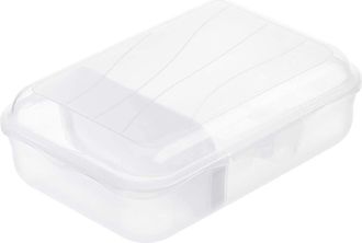 Rotho Fun Vesperdose 0,9l mit herausnehmbarer Trennwand, Kunststoff (PP) BPA-frei, transparent, S/0,9l (17,7 x 12,9 x 6,0 cm)