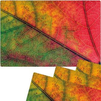 Matches 21 Tischsets 4er als abwaschbare Herbst Tischdeko - Platzsets Laub modern abstrakt als Tischuntersetzer - Platzdeckchen als Tischunterlage für Esstisch W