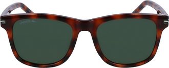 Lacoste L995S 214 HAVANA 53/18/145 Herren Sonnenbrillen