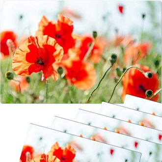 Matches 21 Tischsets 6er als abwaschbare Tischdeko für den Sommer - Platzsets Mohn Blumen Wiese als Tischuntersetzer in 43 cm - Platzdeckchen als Tischunterlage 