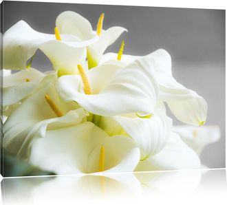 Pixxprint Wunderschöne weiße Calla Lilien, Größe: 120x80cm, Leinwandbild, fertig gespannt, Wandbild, Dekoration, Kunstdruck, kein Poster