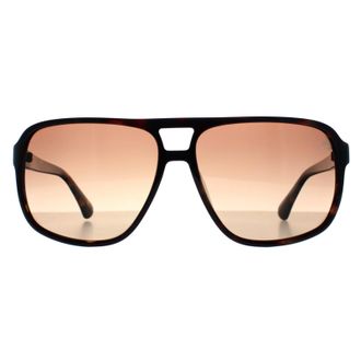 Timberland Aviator Herren dunkel Havanna braun polarisiert TB00031