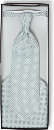 Digel Plastron und Einstecktuch