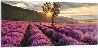 Arttor Wandbilder Dekoration Wohnzimmer Lavendel Berge Feld Panorama Bilder auf Glas 120x50cm Glasbild Schlafzimmer K&uuml;che Wand Kunstdruck Art Gro&szlig; Wanddeko B