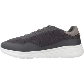 Geox Homme, Chaussures, Gris, Taille: 43 EU Klaiver Baskets