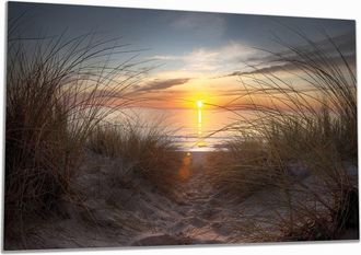 Wallario Herdabdeckplatte/Spritzschutz aus Glas, 1-teilig, 90x52cm, für Ceran- und Induktionsherde, Sonnenuntergang am Strand