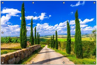 Wallario Outdoor-Poster f&uuml;r Garten oder Balkon Zypressenweg in der Toskana, Motivbanner Gr&ouml;&szlig;e: ca. 100 x 150 cm, Outdoor-Bild