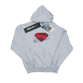 DC Comics DC Comics - Justice League Kapuzenpullover f&uuml;r Herren (Grau)