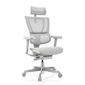 hjh OFFICE Chaise de Bureau Ergonomique ERGOHUMAN Slim GEN2 Design Original, Utilisation 24h/24, Chaise pivotante avec Soutien Lombaire Flexible, Filet Gris Clai