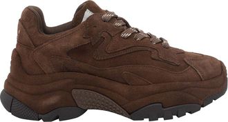 Ash Sneaker - Braun