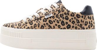 Buffalo Sneaker PAIRED