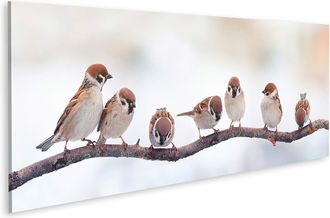 Islandburner Prime Bild auf Leinwand Lustige Vögel Spatzen sitzen auf einem AST auf dem Panoramabild Bilder Wandbild Poster Leinwandbild