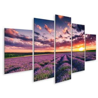 Islandburner Bild auf Leinwand Lavendel Blumenfelder In Endlosen Reihen Bl&uuml;hen Sonnenuntergang Bilder Wandbilder Poster