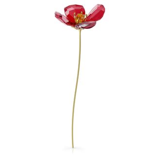 Swarovski Garden Tales Rote Mohnblume, Kristallblume mit Champagner-Goldfarbenem Stiel aus Metall