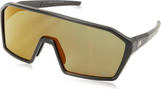 Alpina Unisex RAM Q-LITE Sonnenbrille, Schwarz (Black matt), Einheitsgröße
