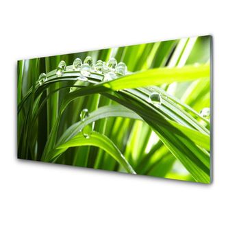 Tulup Glasbilder 100x50cm - Wandbild Druck auf Glas XXL Panorama-Bild Wandbilder aus Echt-Glas Sicherheitsglas Kunstdruck f&uuml;r K&uuml;che Wohnzimmer Gras Wassertr