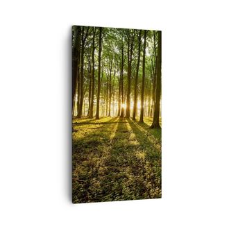 Arttor Bilder auf Leinwand Wald gr&uuml;n Sonnenstrahlen Natur Leinwandbild mit Rahmen 45x80cm Wandbilder Dekoration Wohnzimmer Schlafzimmer K&uuml;che Deko Klein Wand