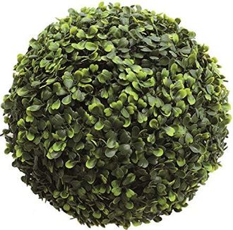 Vigor 7970755 Kugelhecke, Grün