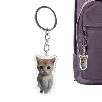 Generico Porte-cl&eacute;s banane | Porte-cl&eacute;s transparent imprim&eacute; banane chat 2D avec cordon pour sacs &agrave; main, sacs &agrave; dos, ornements en acrylique, Pauvre chat 4 cm [