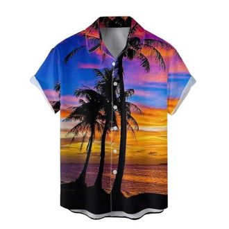 Generic Chemise hawa&iuml;enne de croisi&egrave;re &agrave; manches courtes pour homme - Chemise d&eacute;t&eacute; amusante - Motif flamant rose tropical d&eacute;contract&eacute; - Tendance - Graphique v