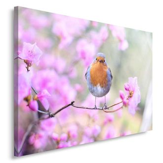 Feeby Wandbild - 1 Teilig - 50x70 cm, Leinwand Bild Leinwandbilder Bilder Wandbilder Kunstdruck, VOGEL, NATUR, PINK