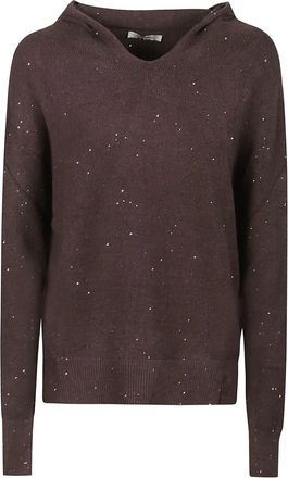 Hinnominate Pullover mit Paillettenstickerei - Braun