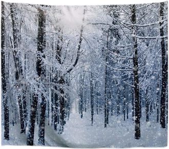 A.Monamour Wanddekor Wandbild Vorhang Wandteppiche Kalt Winter Weiß Schneebedeckten Wald Bäume Hoarfrost Landschaft Landschaft Grafik Wand Hängen Tapisserie Fens
