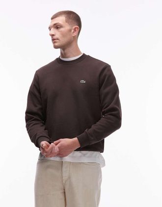 Lacoste Sweatshirt in Braun mit Rundhalsausschnitt-Brown